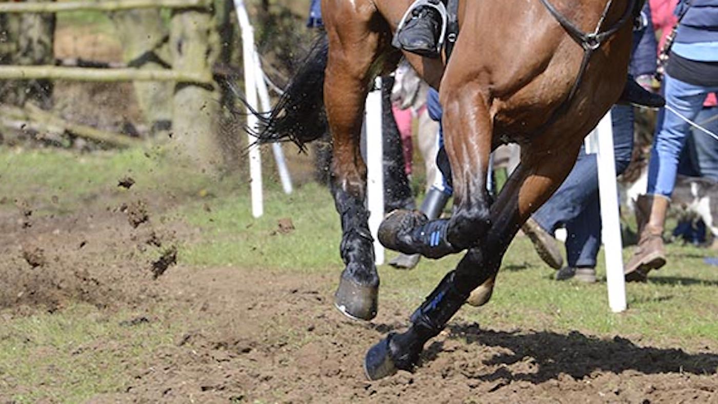 ‘Persistent and torrential rain’ means international event abandoned ...