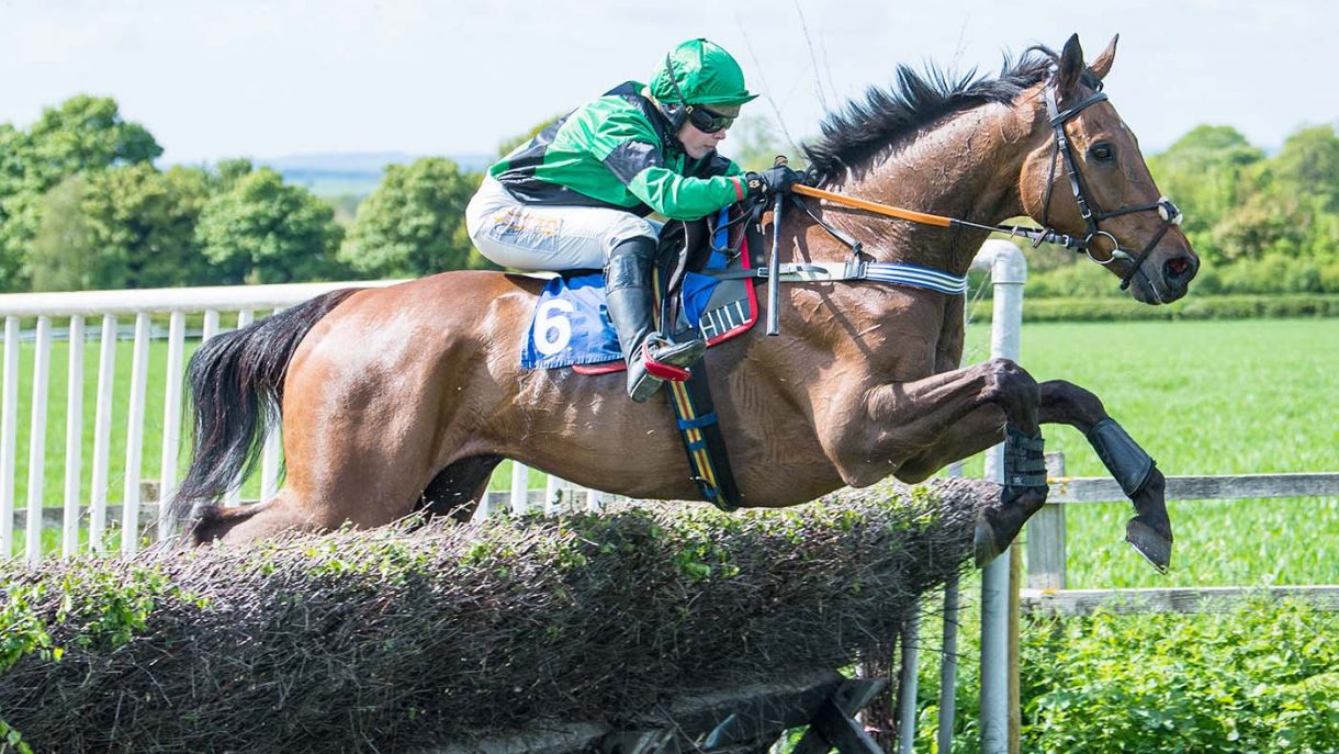 Point-to-point racing: what you need to know to ensure a great day out
