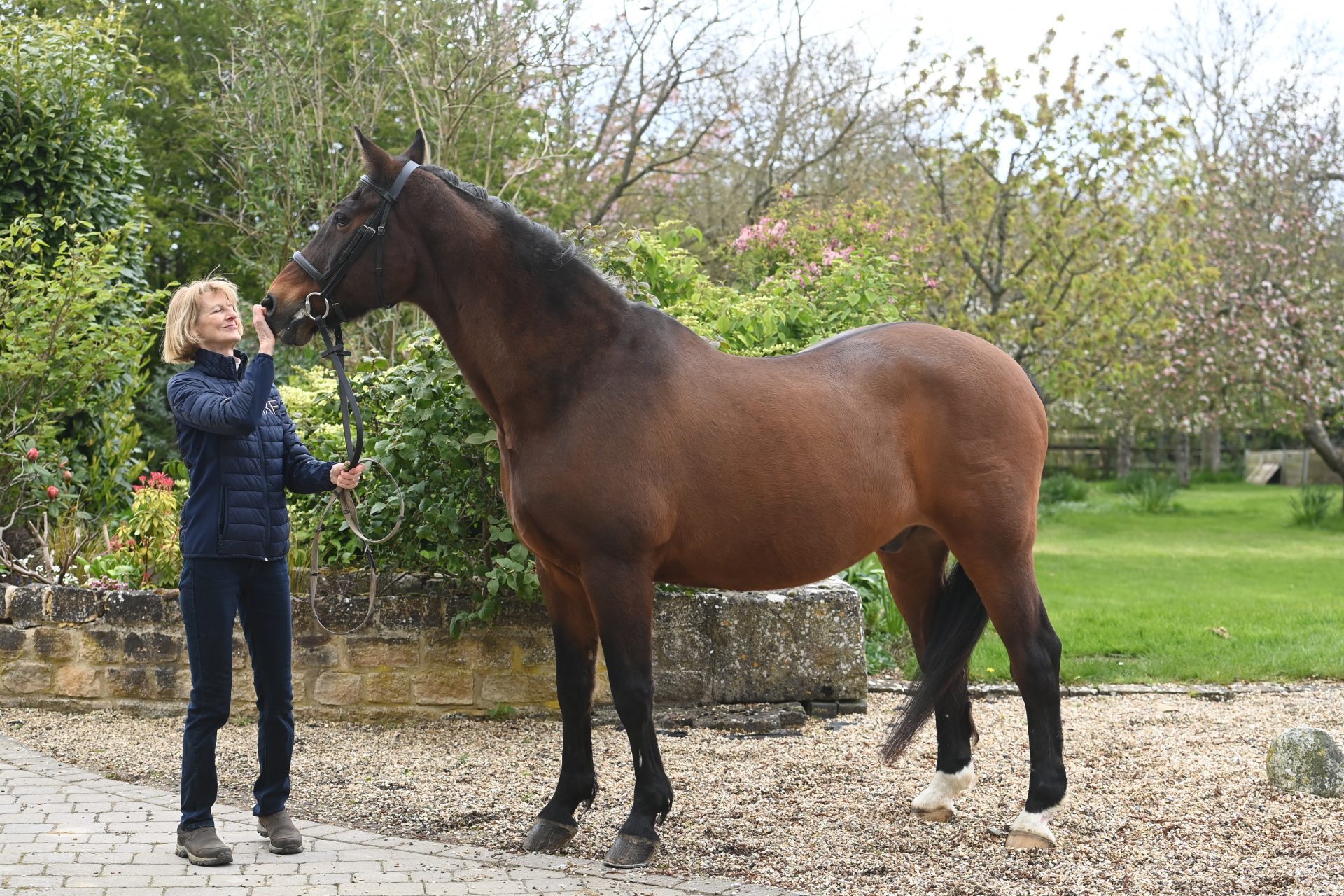 Rascher Hopes – Olympic dressage star thriving in retirement at 33