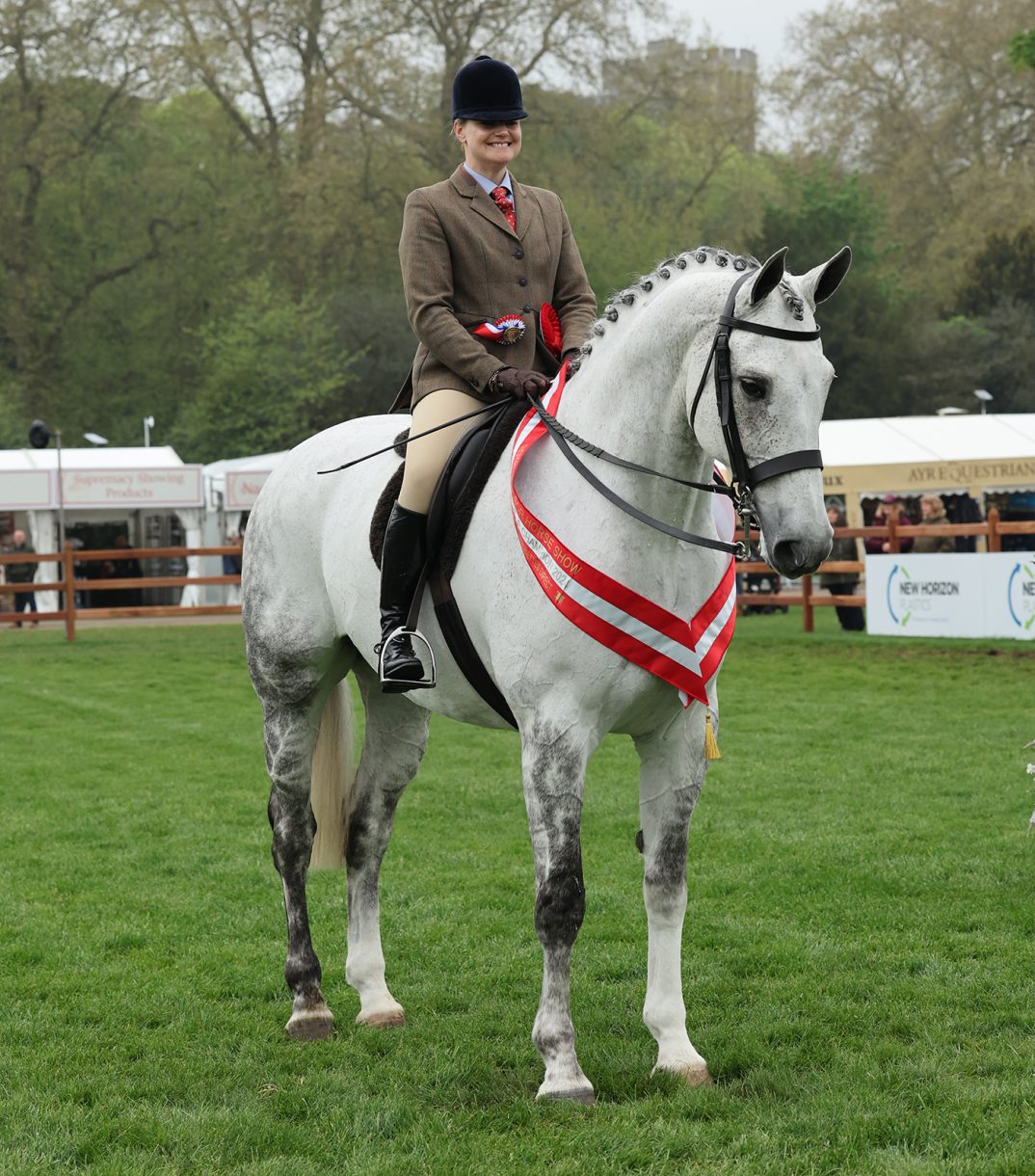 2024 Royal Windsor riding horse championship results - Horse & Hound