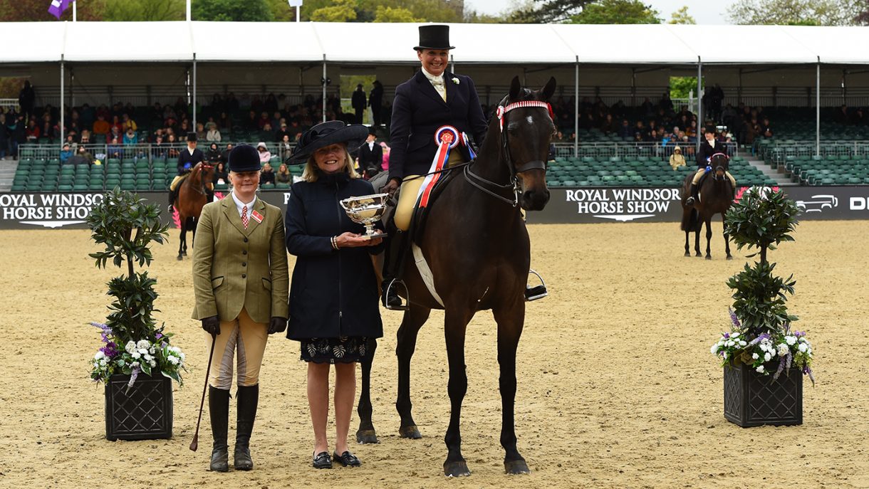 *Opinion* Julie Templeton: ‘Show horses must sparkle to win’