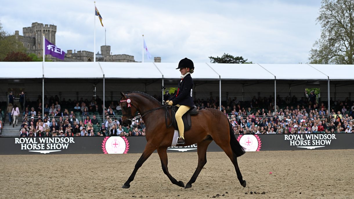 Showing: Horse & Hound's home for all showing fans