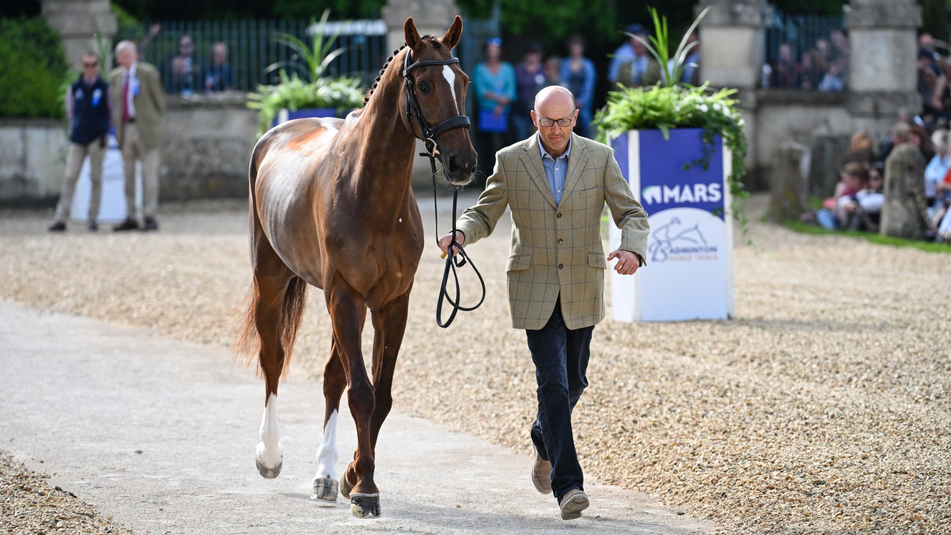 Badminton Horse Trials trot-up – one horse held plus two late withdrawals