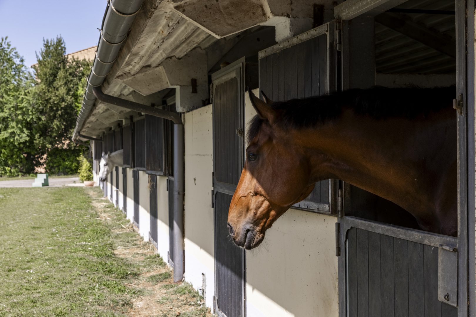 The dream! Move into a castle with stables, covered and outdoor arenas ...