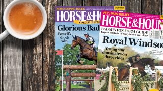 How to ride a horse (The essential basics you really need to know)