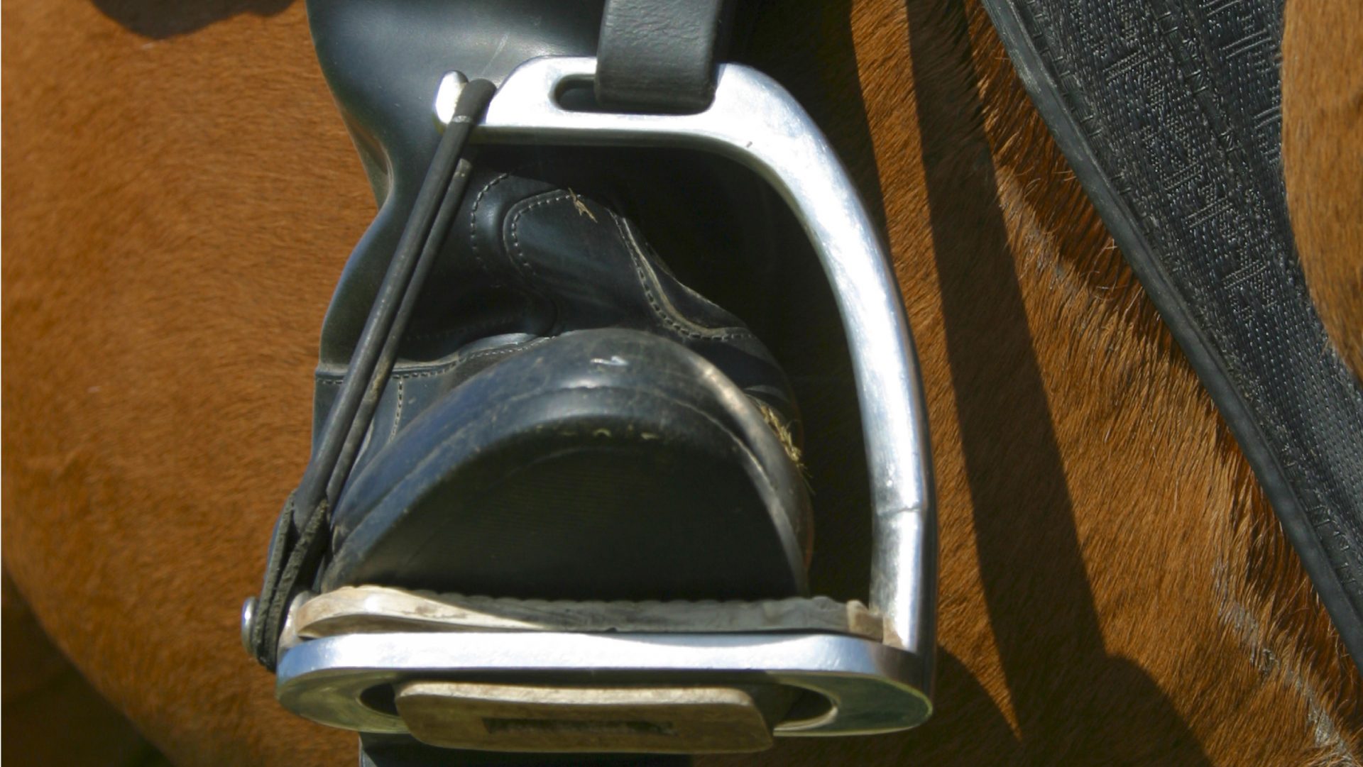 Fed up of bulky buckles? Don’t miss these single ply stirrup leathers ...