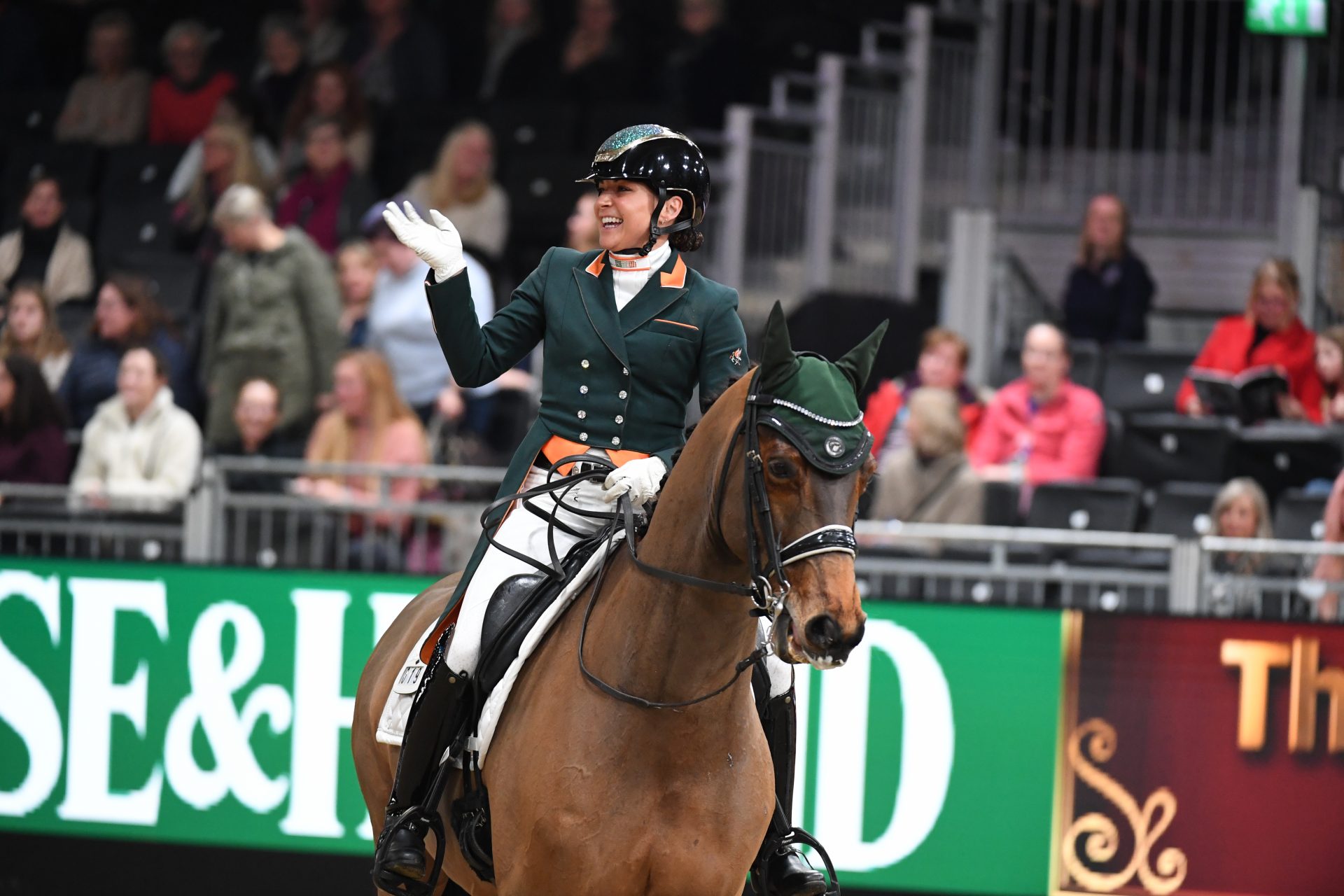 Giraldo – Abi Lyle's top ride and Ireland’s leading dressage star
