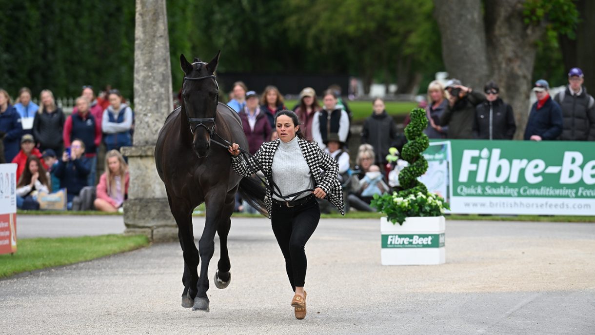 Bramham Horse Trials final trot-up – one horse held
