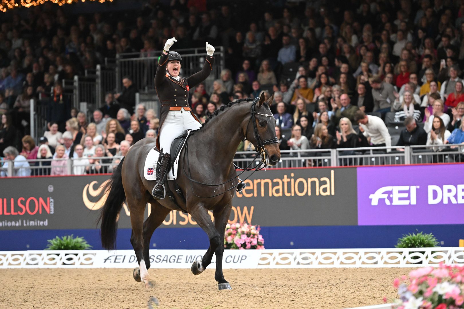 Olympic dressage British riders – what you need to know