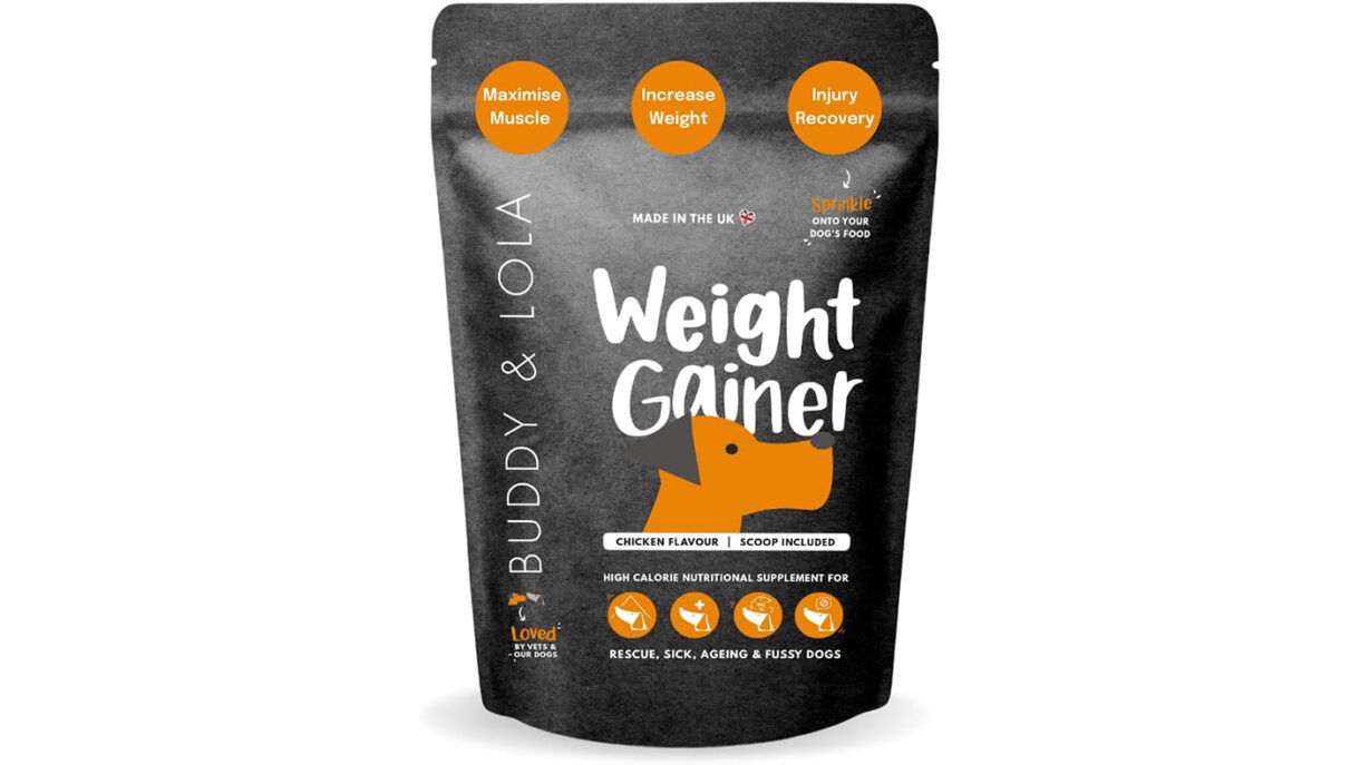 Best dog supplements for weight gain | Horse & Hound