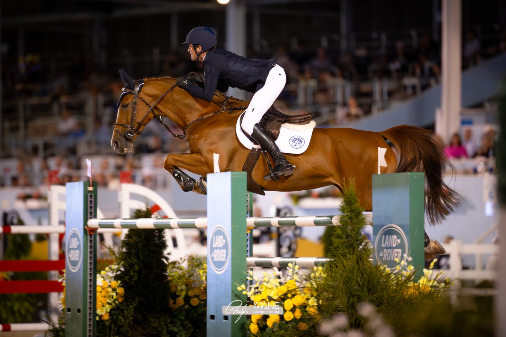 International showjumping news - a women-only team and Max Verstappen