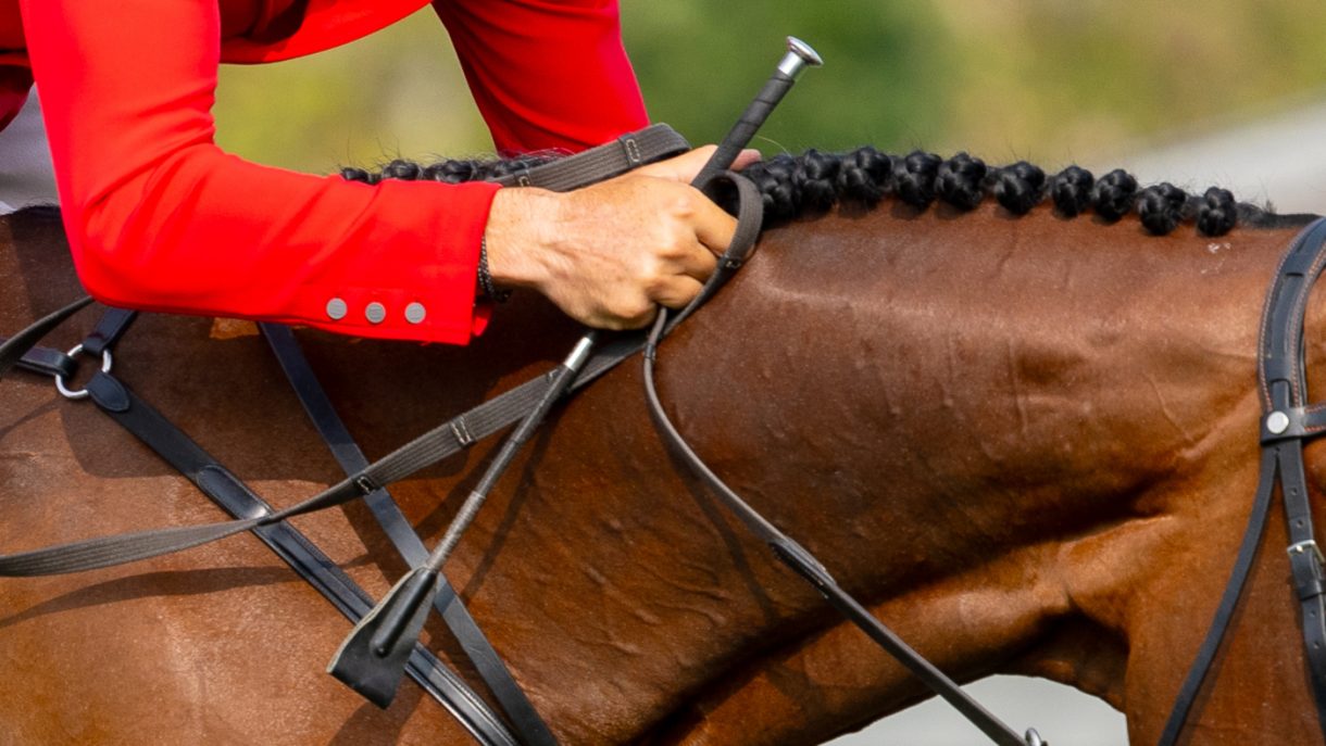 Call for changes to whip rules, plus other things the horse world is ...