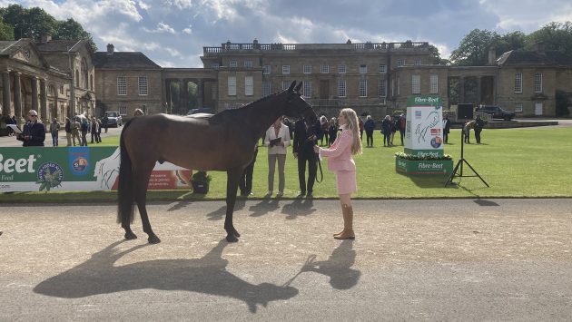 Bramham Horse Trials first trot-up – one horse withdrawn from holding box