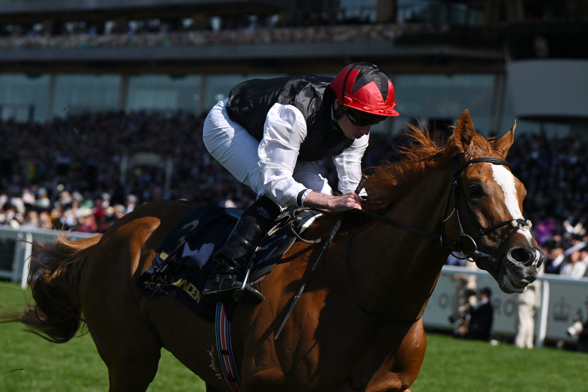 Kyprios wins 2024 Gold Cup at Royal Ascot after injury comeback