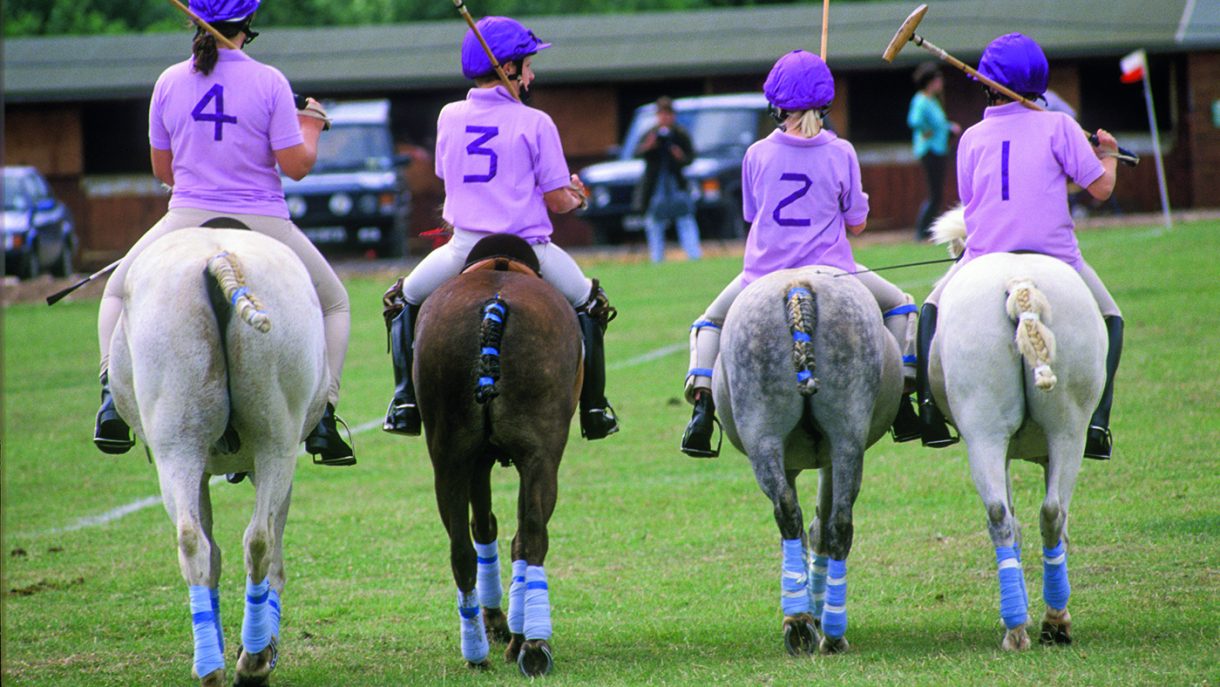 The Pony Club
