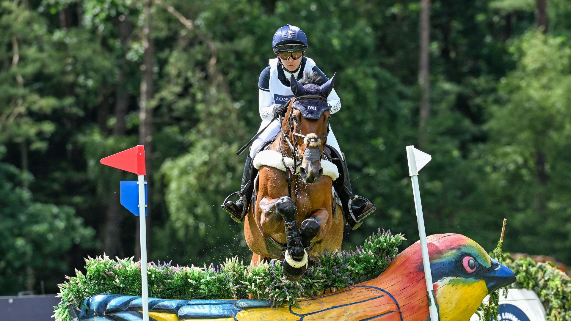 London 52 sustains minor injury at Luhmühlen Horse Trials