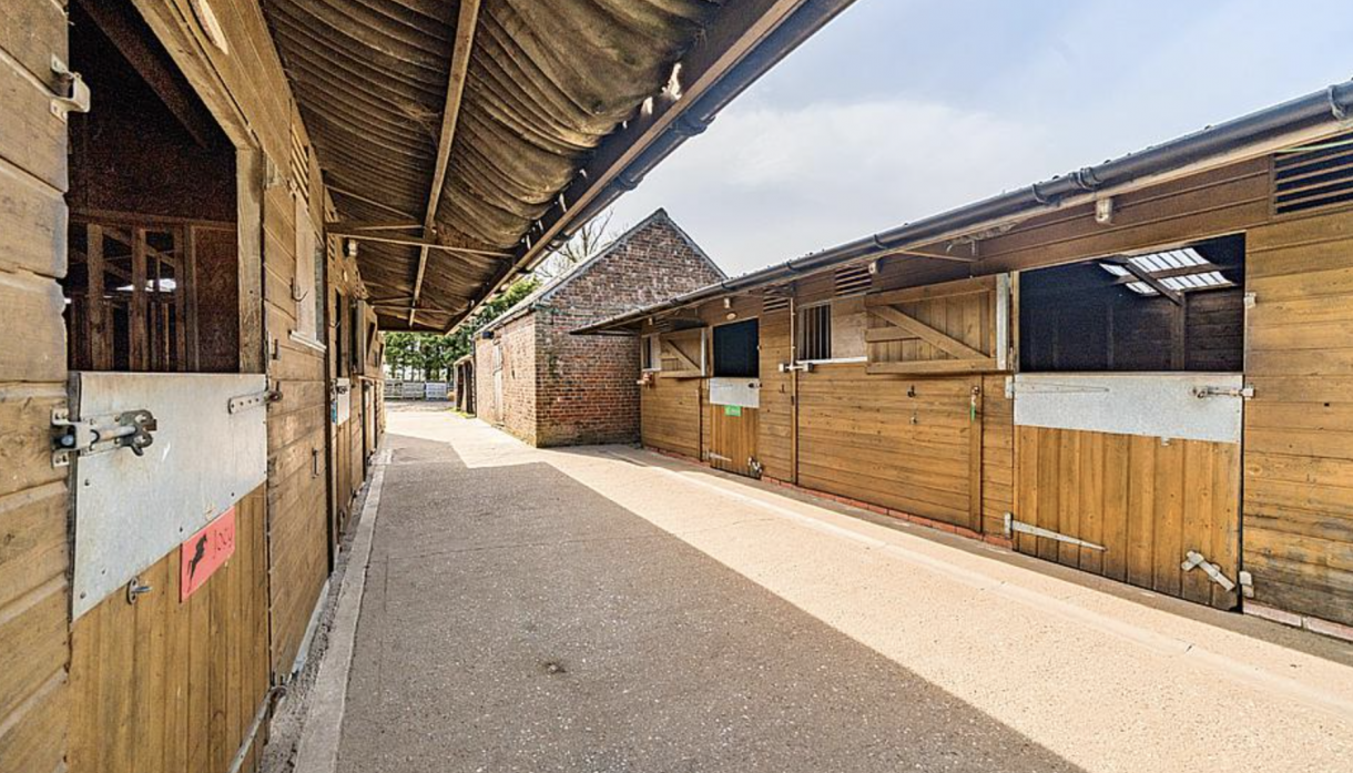 A well-presented equestrian home with arena, stables and grazing for +£ ...