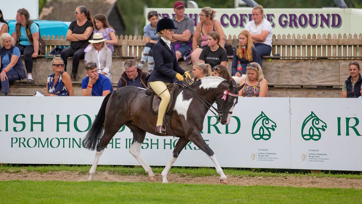 Penrock Perfect Puzzle wins the 2024 RIHS final - Horse & Hound