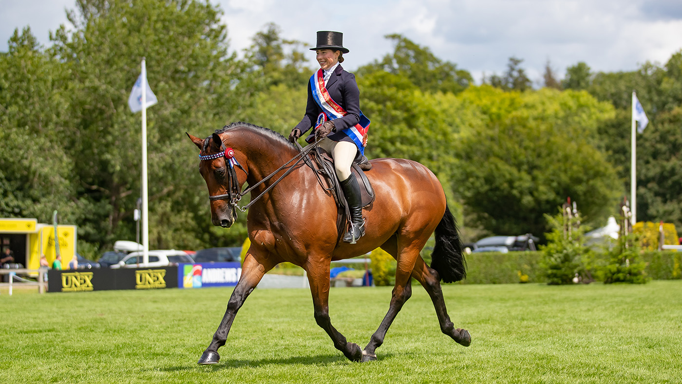 2024 RIHS supreme riding horse championship results - Horse & Hound