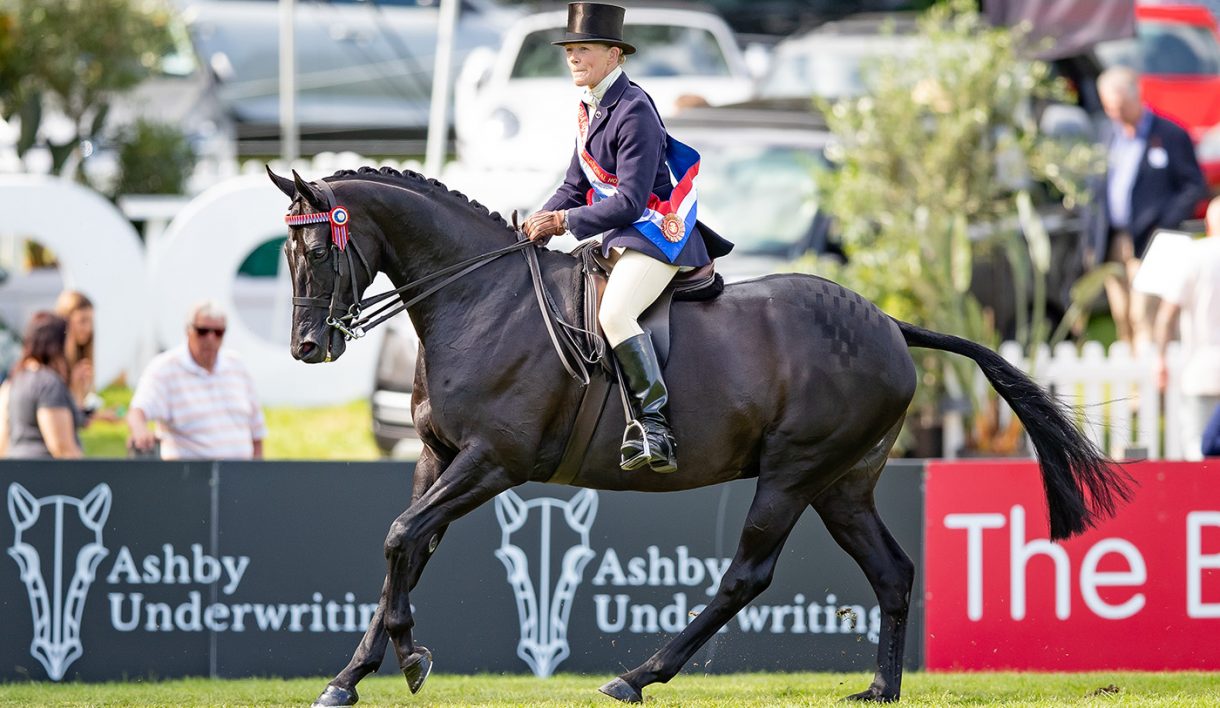 2024 RIHS supreme hack championship results - Horse & Hound