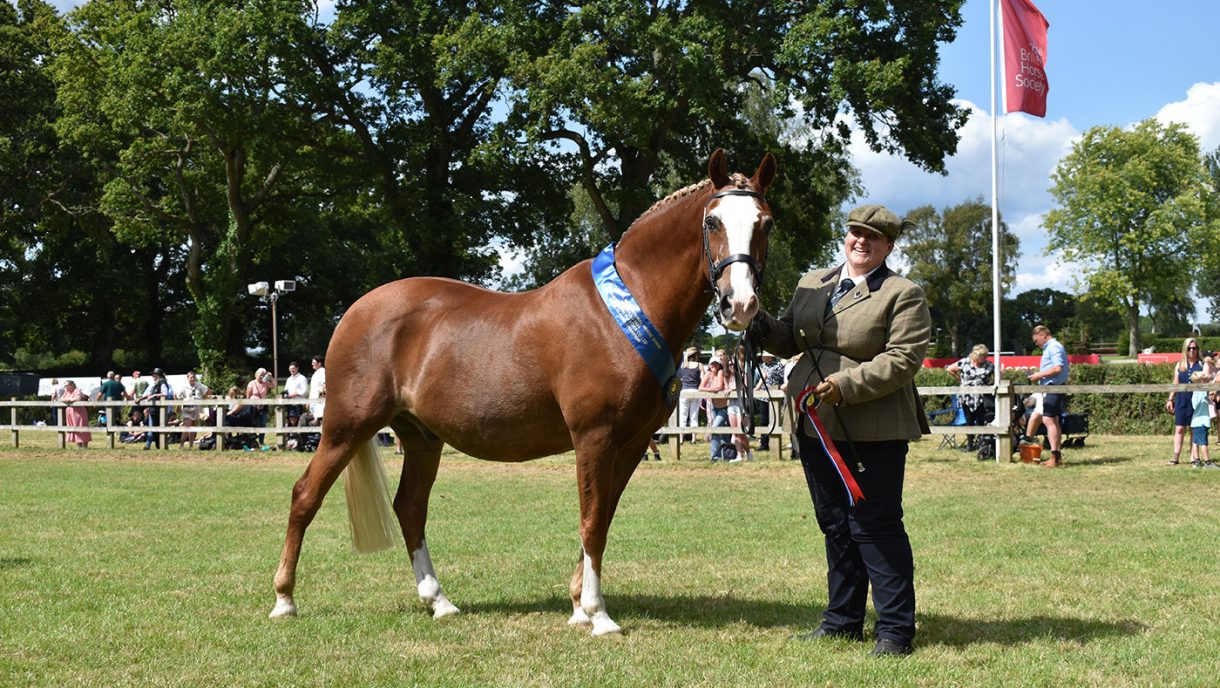2024 RIHS SSADL ridden and in-hand winners - Horse & Hound