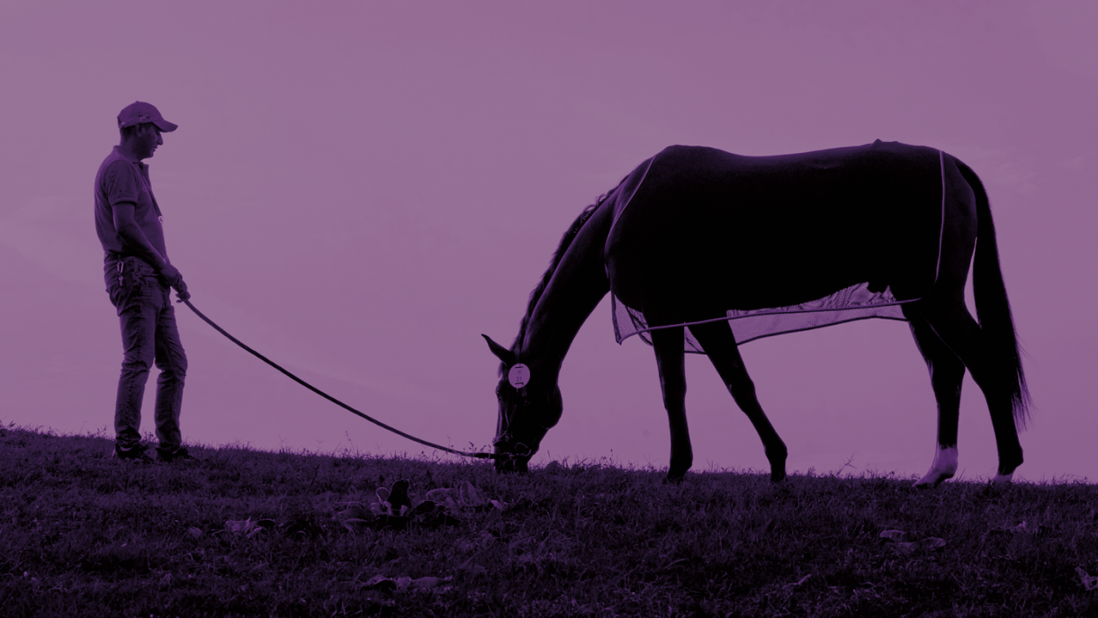 Riders urged to ‘display our sport’s beauty’ and be guardians of horses ...