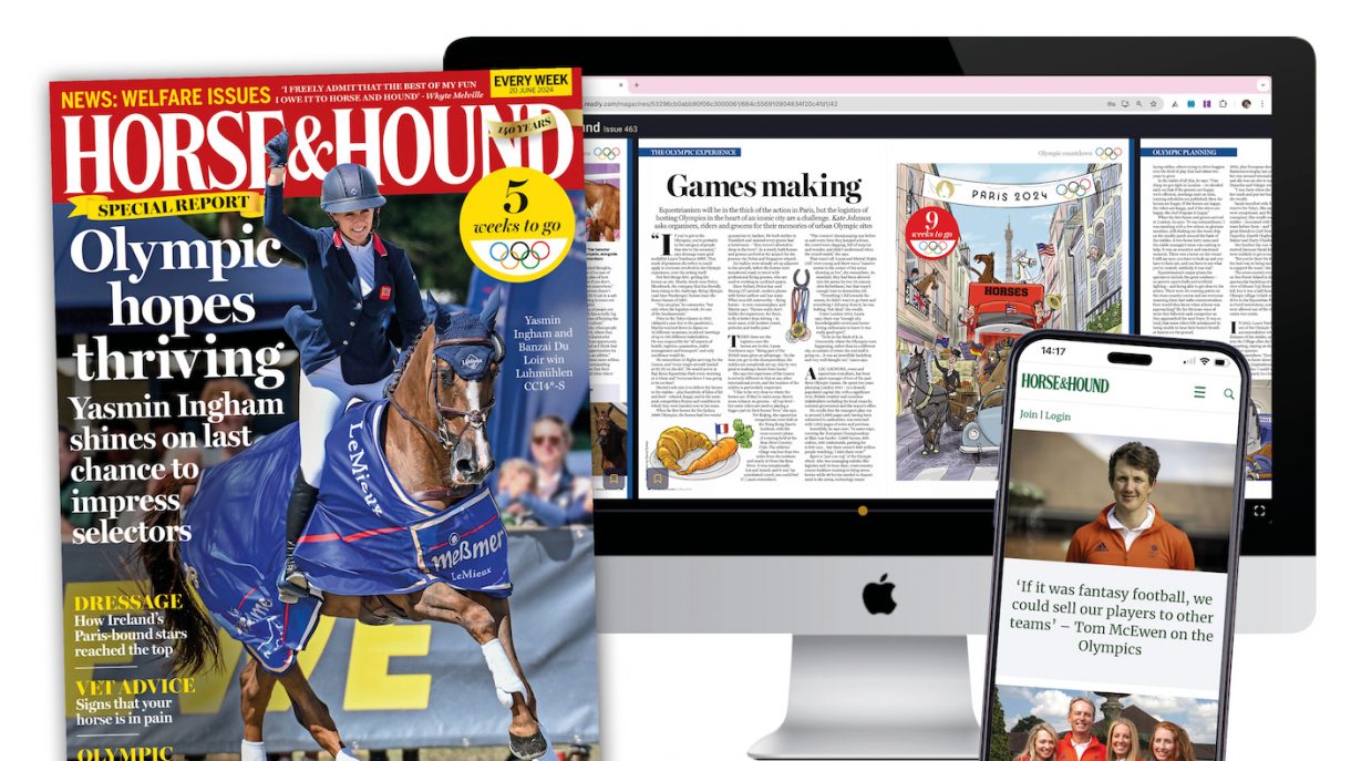 Controversial changes to showjumping blood rules approved – but Britain ...