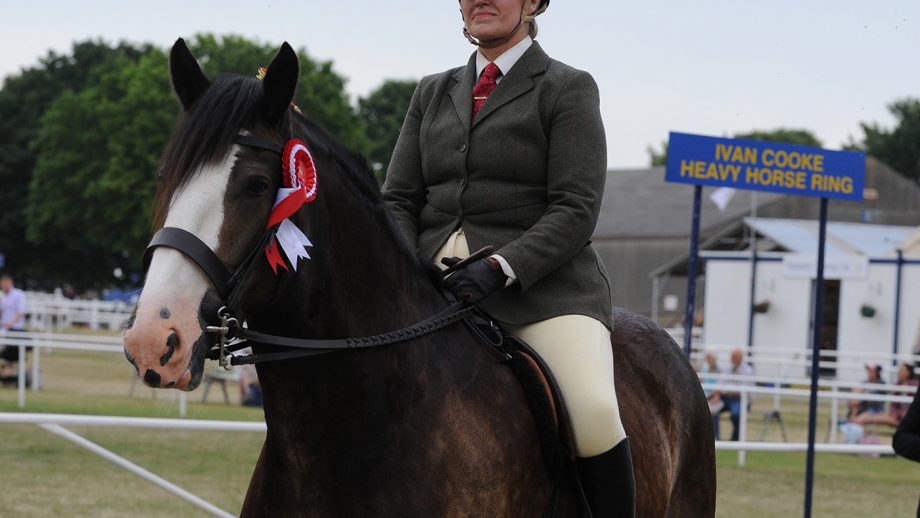 Best cameras for horse riding to capture video | Horse & Hound