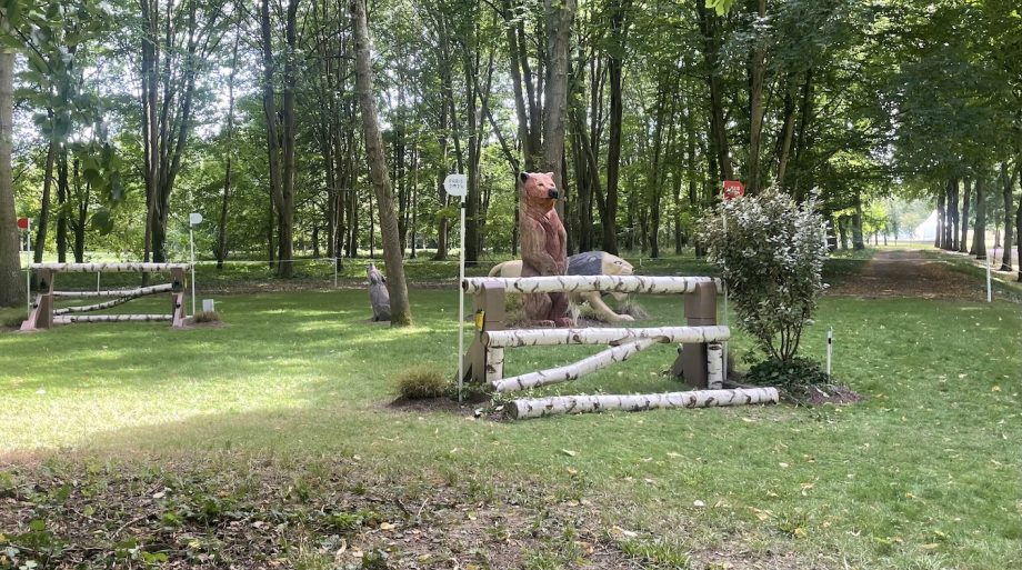 Paris Olympics cross-country course from the designer’s perspective