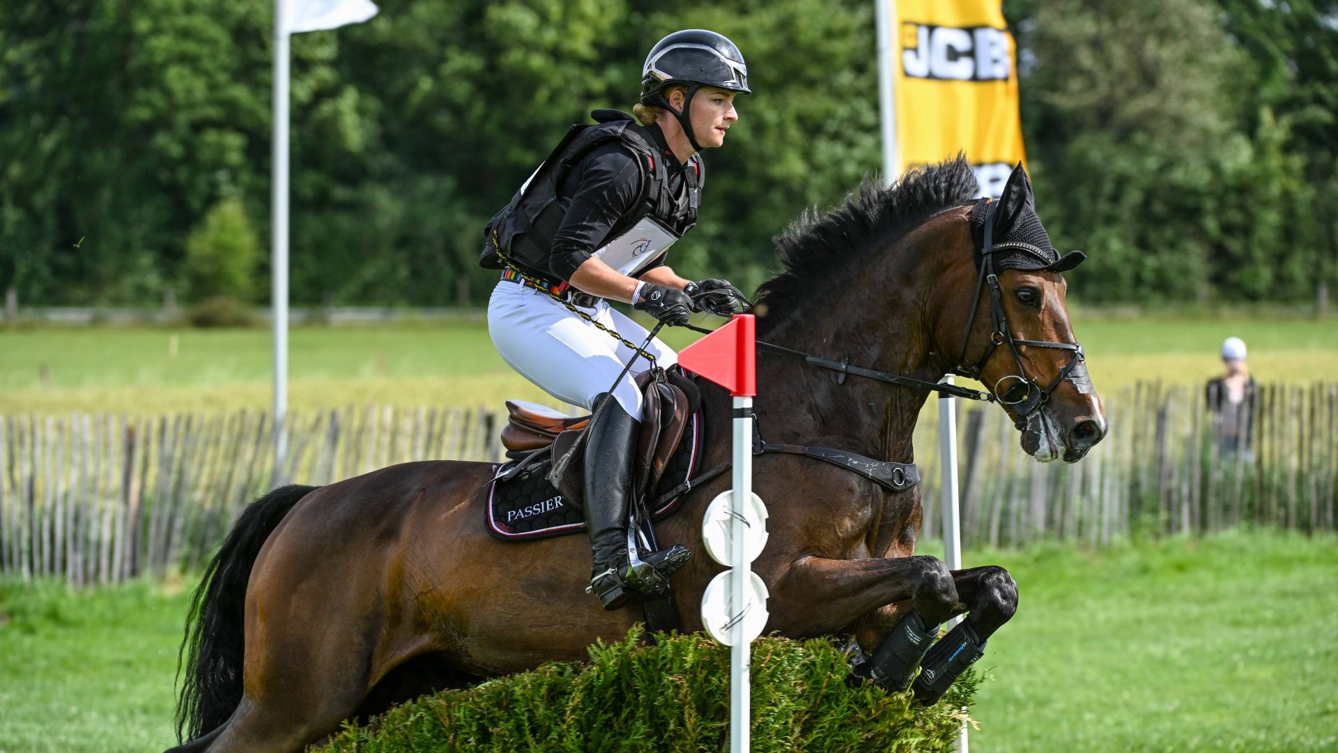 An Olympic champion in reserve, a showjumping ‘dressage horse’ and ...