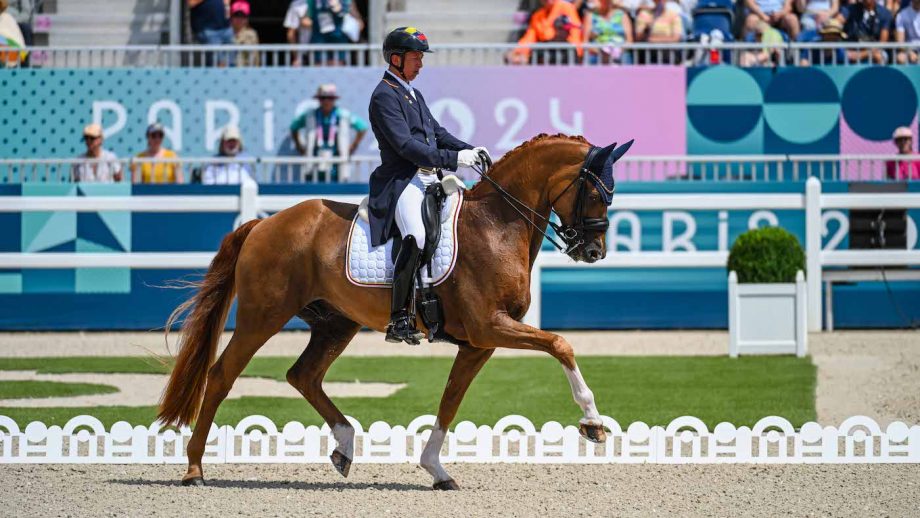 Jewel’s Goldstrike, the Olympic dressage horse bought for $20