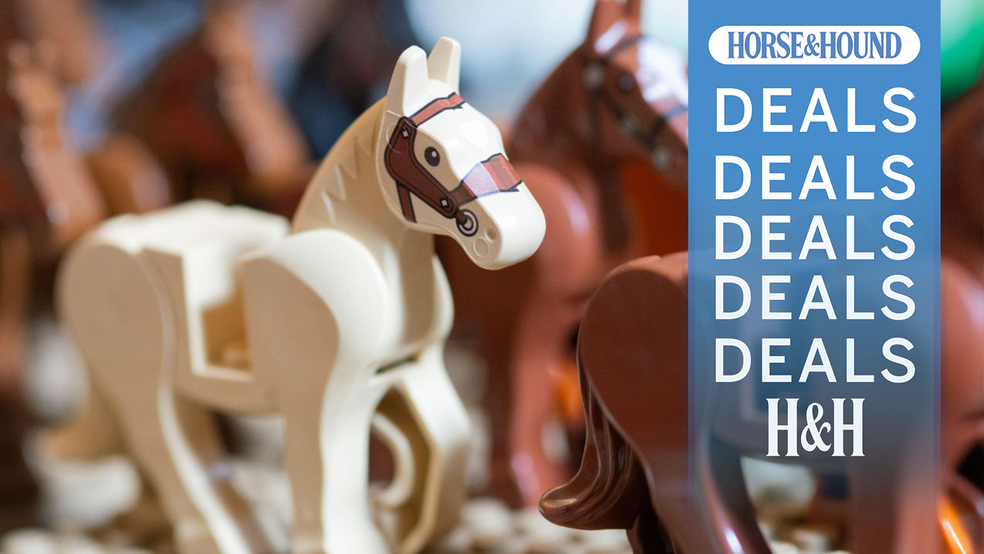Pony LEGO deals Amazon Prime Day – best sets for horsey kids
