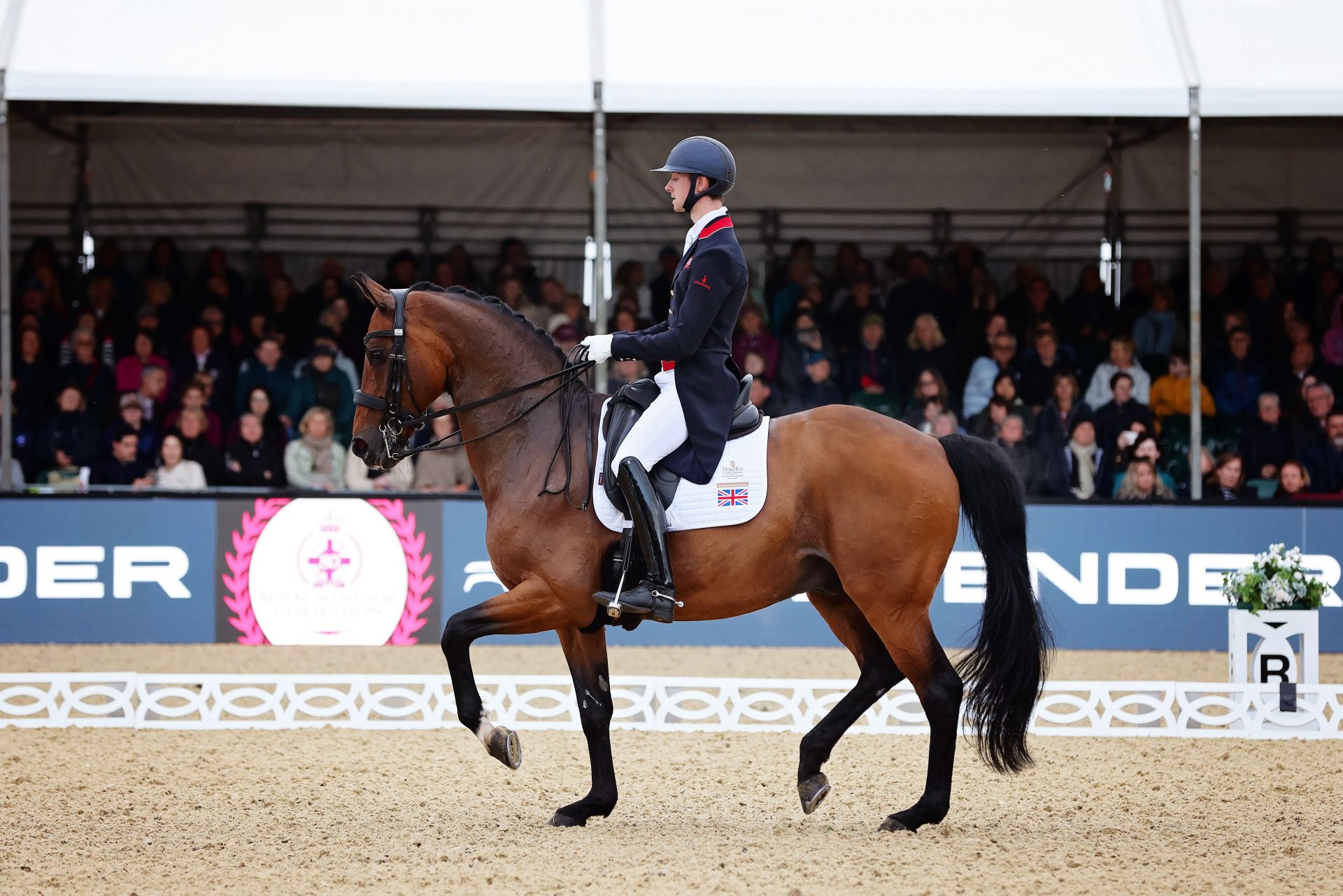 Lewis Carrier on what it takes to become a professional dressage rider