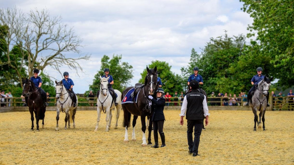 ‘We’re thrilled to have you’: brave police horse officially retired ...