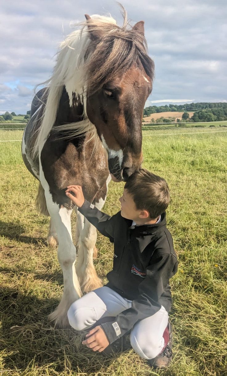 Young rider who excelled in dressage on RSPCA rescue takes on pony ...