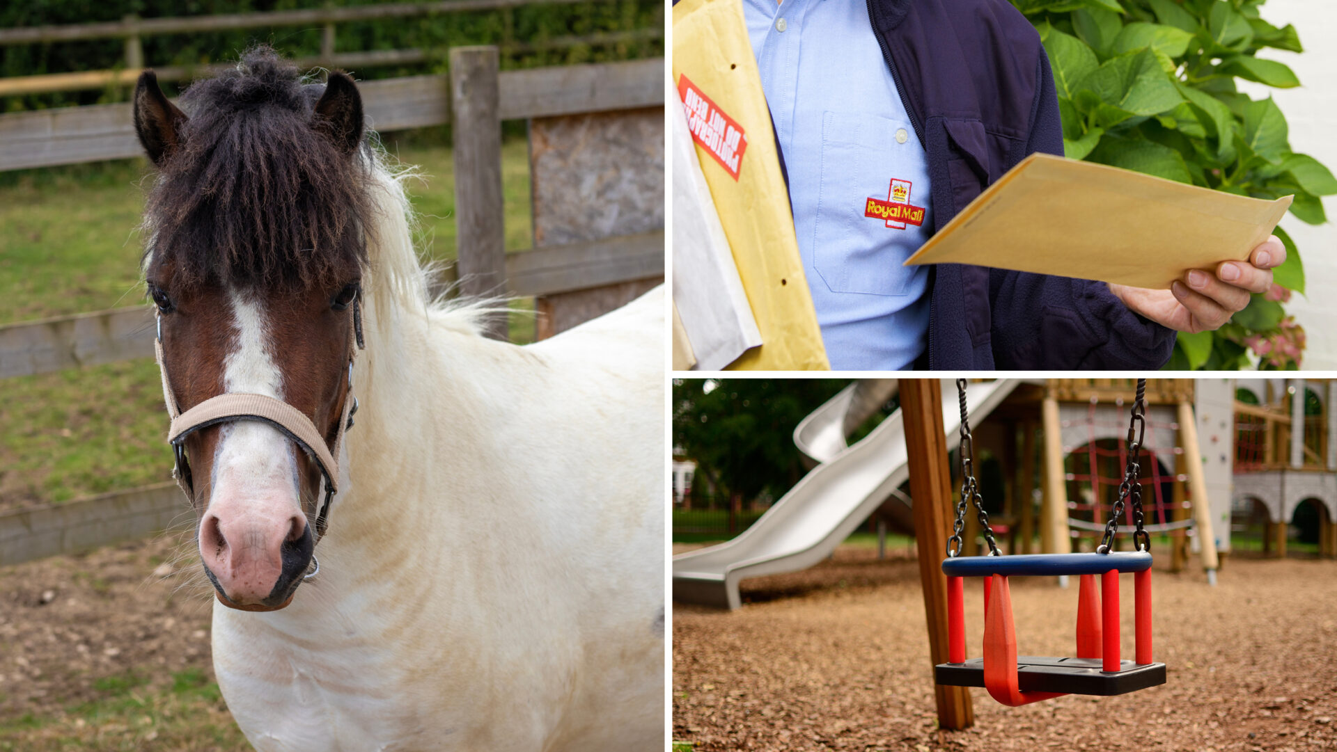 Abandoned pony left tied to a tree rehomed by local resident - Horse ...