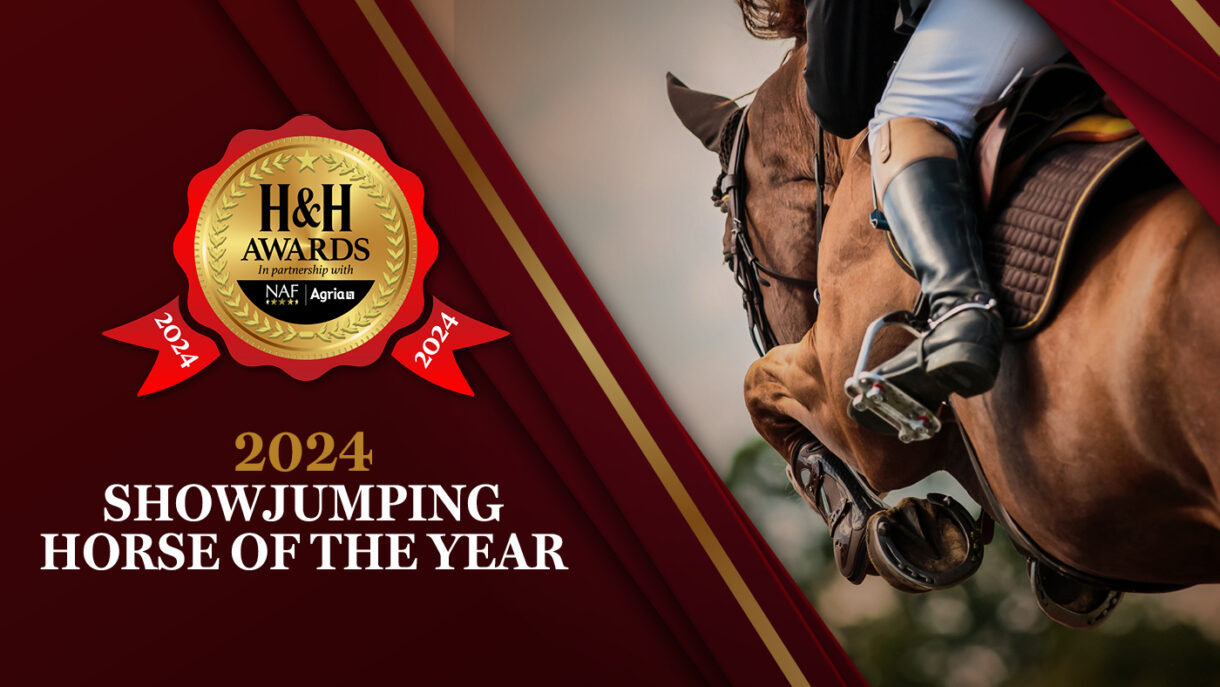 Mr Blue Sky UK crowned Showjumping Horse of the Year 2024