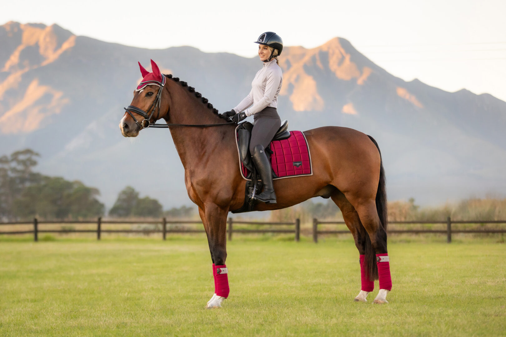 New LeMieux colours AW24 collection revealed | Horse & Hound