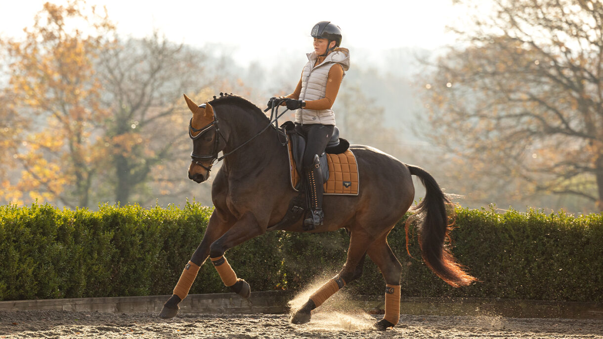 New LeMieux colours AW24 collection revealed | Horse & Hound