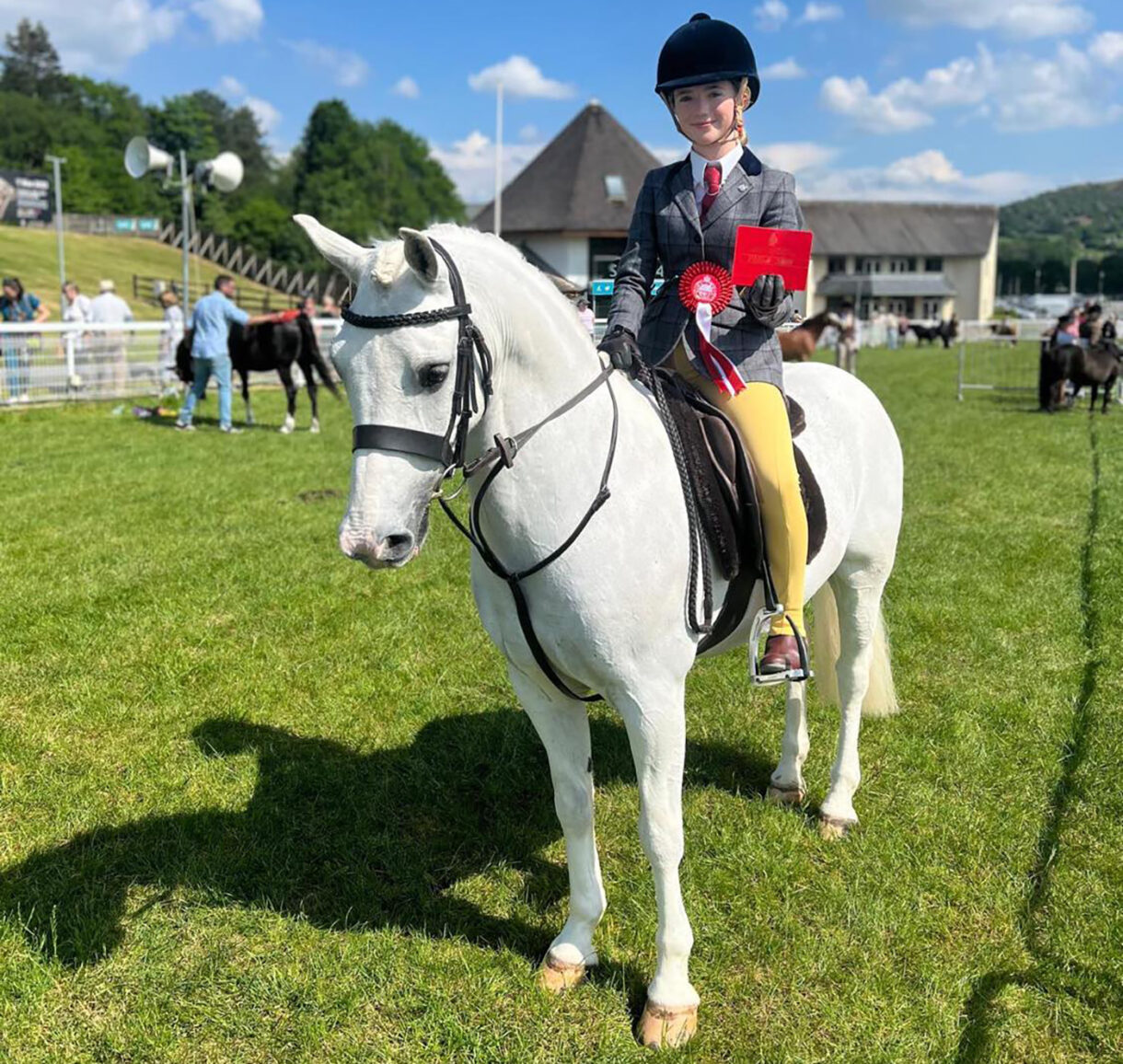 Meet show ring and dressage star Cooper II - Horse & Hound