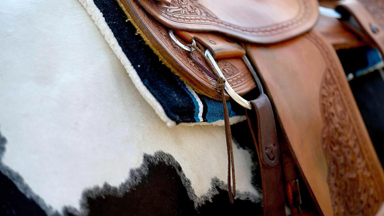 Firm responsible for feed that killed +40 horses admits contamination ...
