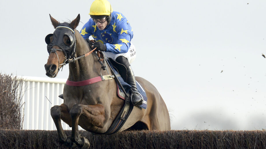 Retrained racehorse Annacotty proves the versatility of thoroughbreds