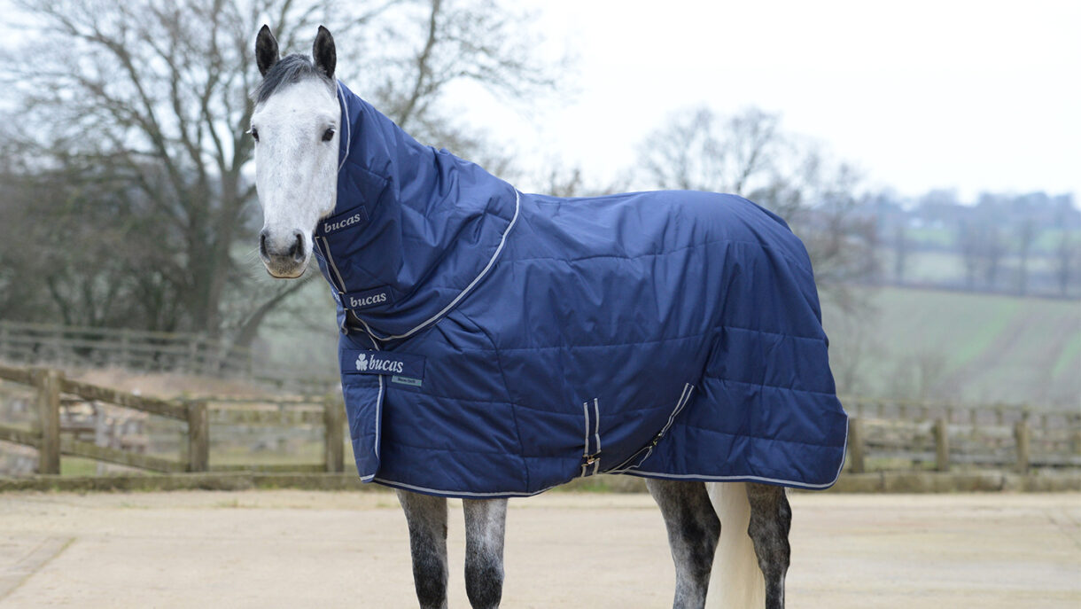 Best stable rugs for keeping your horse warm this winter | Horse & Hound