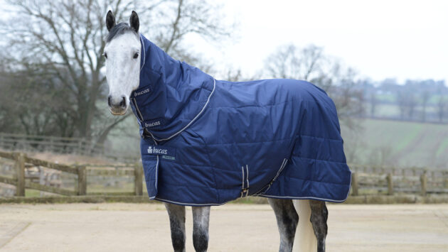 Best stable rugs for keeping your horse warm this winter | Horse & Hound