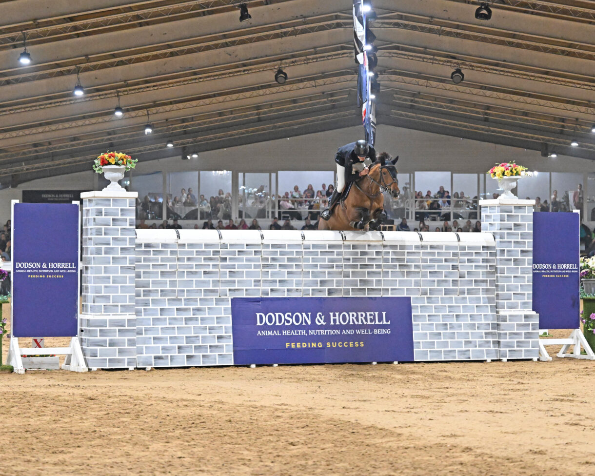 Carmen Edwards and Happy Valerie win Arena UK puissance