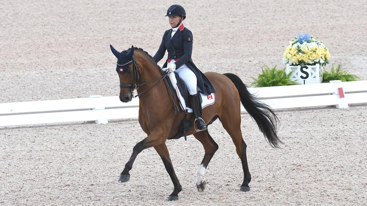 Older horse riders including top equestrians competing in their 60s