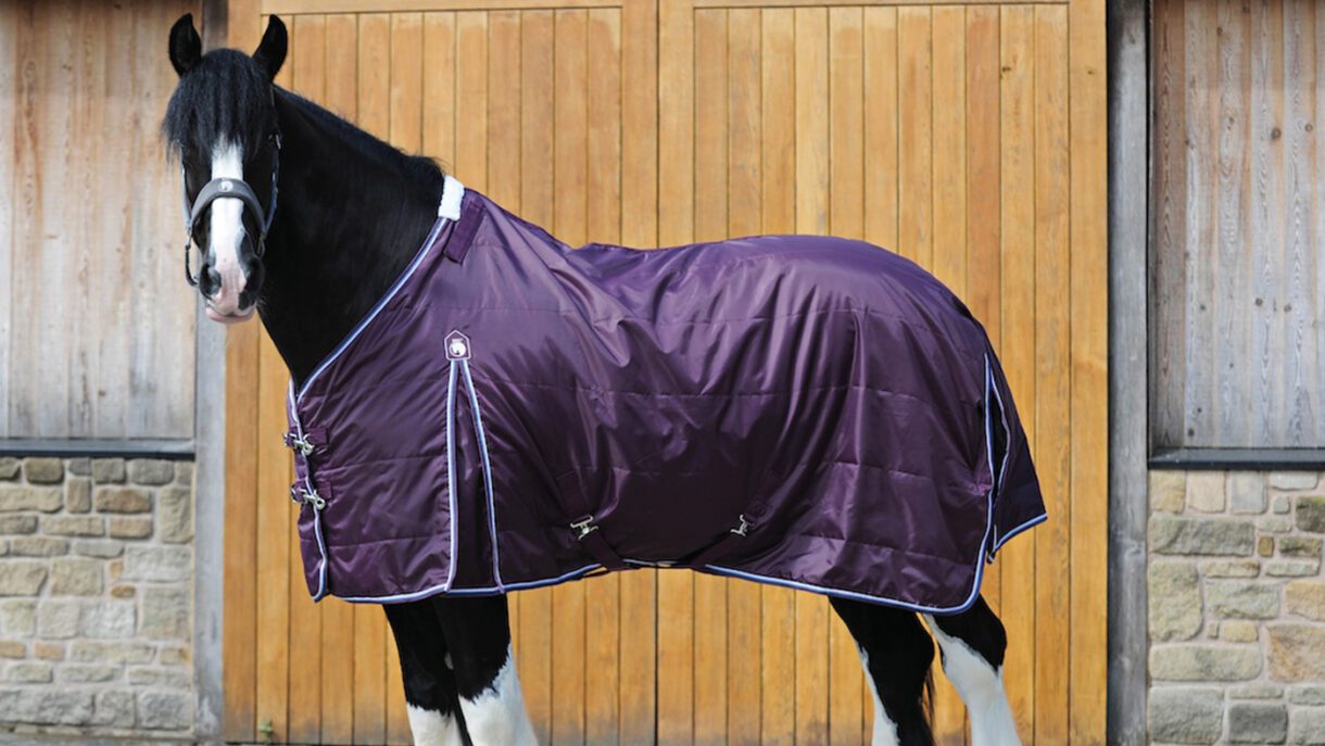 Best stable rugs for keeping your horse warm this winter | Horse & Hound