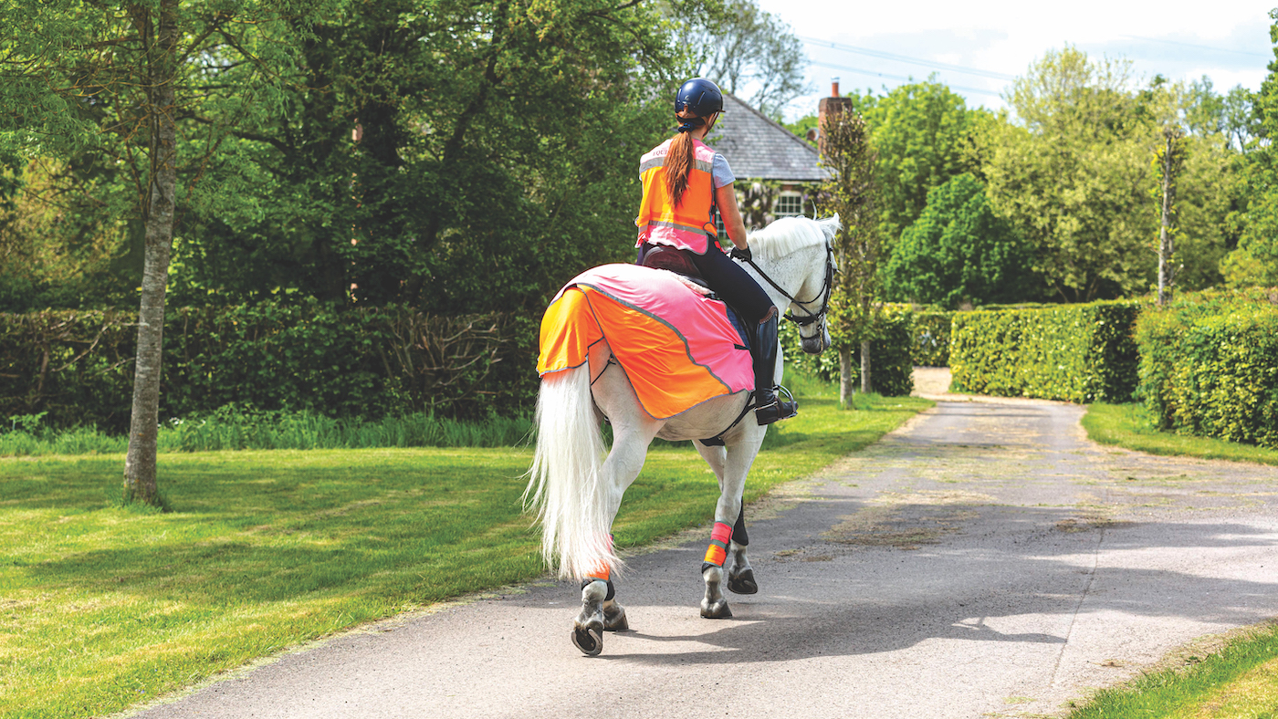 Government pledges to consider another equestrian road safety debate