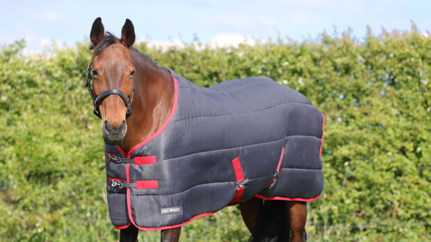 Best stable rugs for keeping your horse warm this winter | Horse & Hound