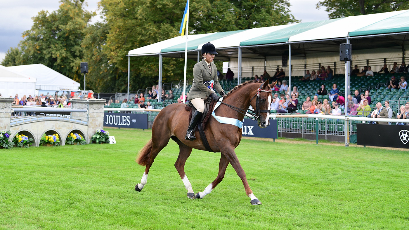 Native River wins at Burghley Horse Trials - Horse & Hound